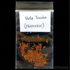 Viola Tricolor Heartease Violet Seeds | Fair Dinkum Seeds