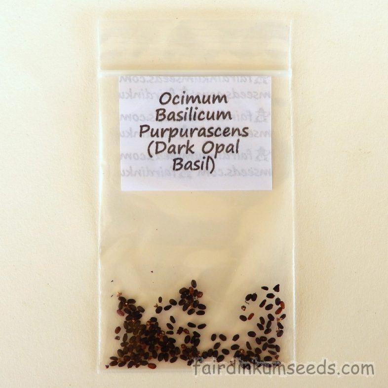 Dark Opal Basil Ocimum Basilicum Purpurascens Seeds | Fair Dinkum Seeds