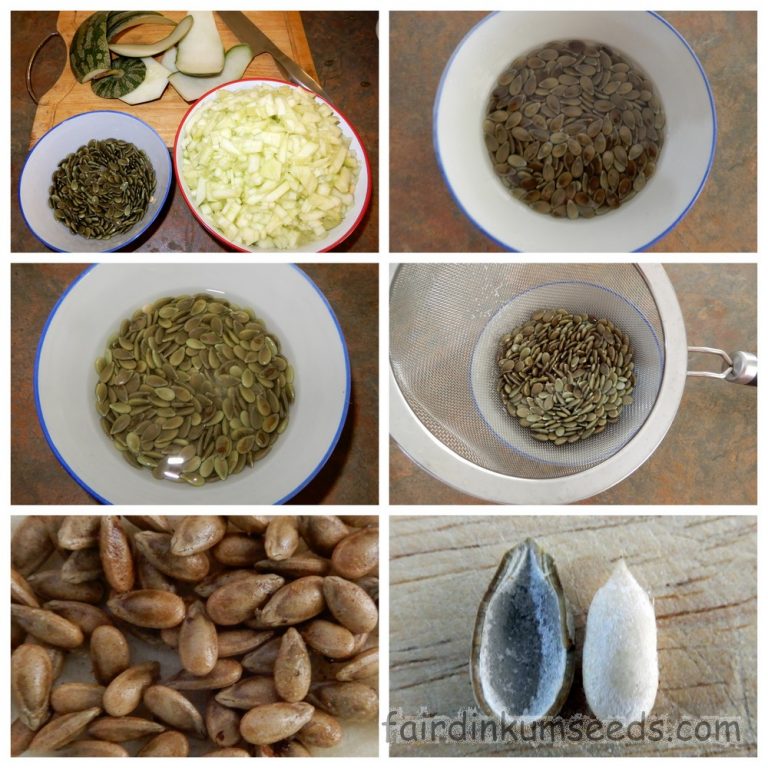 Citrullus Amarus Jam Melon Citron Olive Seeds | Fair Dinkum Seeds