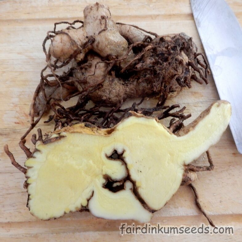 Awesome Heirloom Seeds Plants & other Unusual Stuff